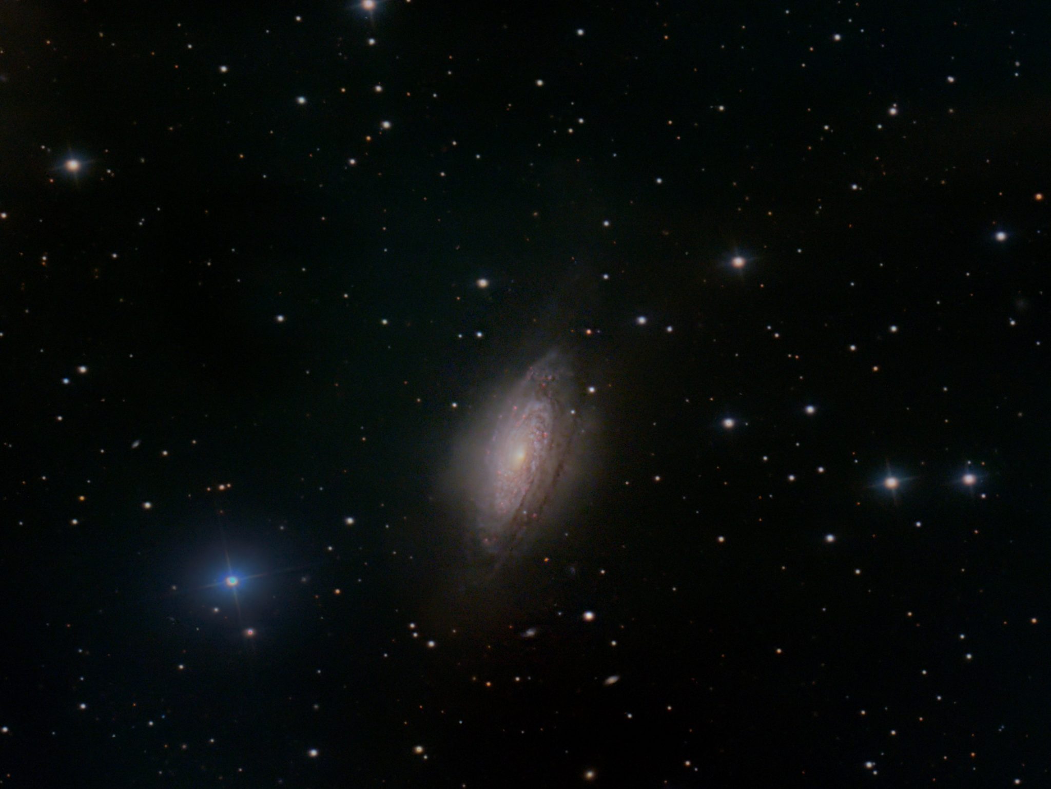 NGC 3521 „Die Galaxie in der Blase“ – Sternfreunde Kreis Offenbach